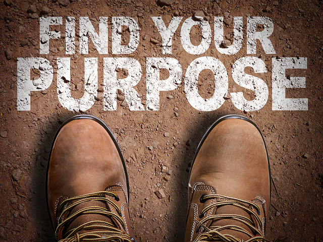 How to Write a Statement of Purpose for Graduate School